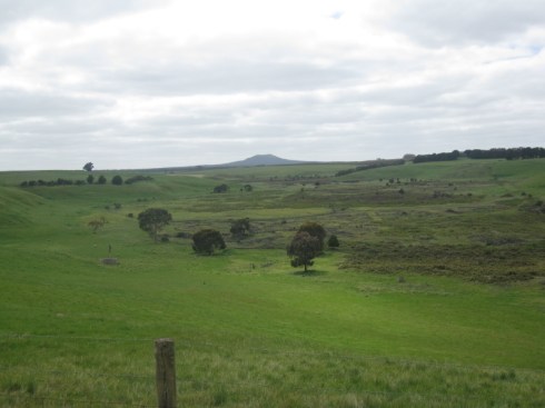 Bric-a-Brac | Western District Families