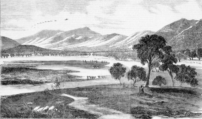 Western District Families | Family history from the Western District of ...